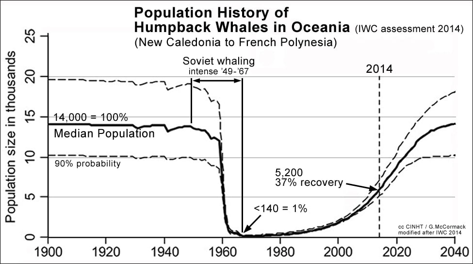 Cook Islands Humpback Whales - Part 2 • Cook Islands Natural Heritage Trust